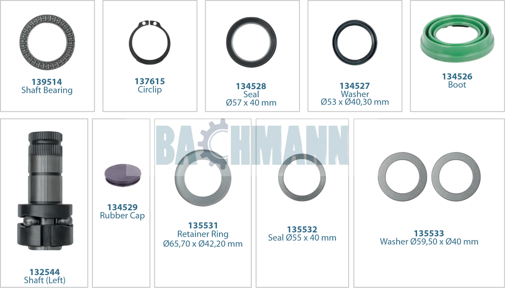 Caliper Spline Shaft Mechanism Kit (Left) | Bachmann